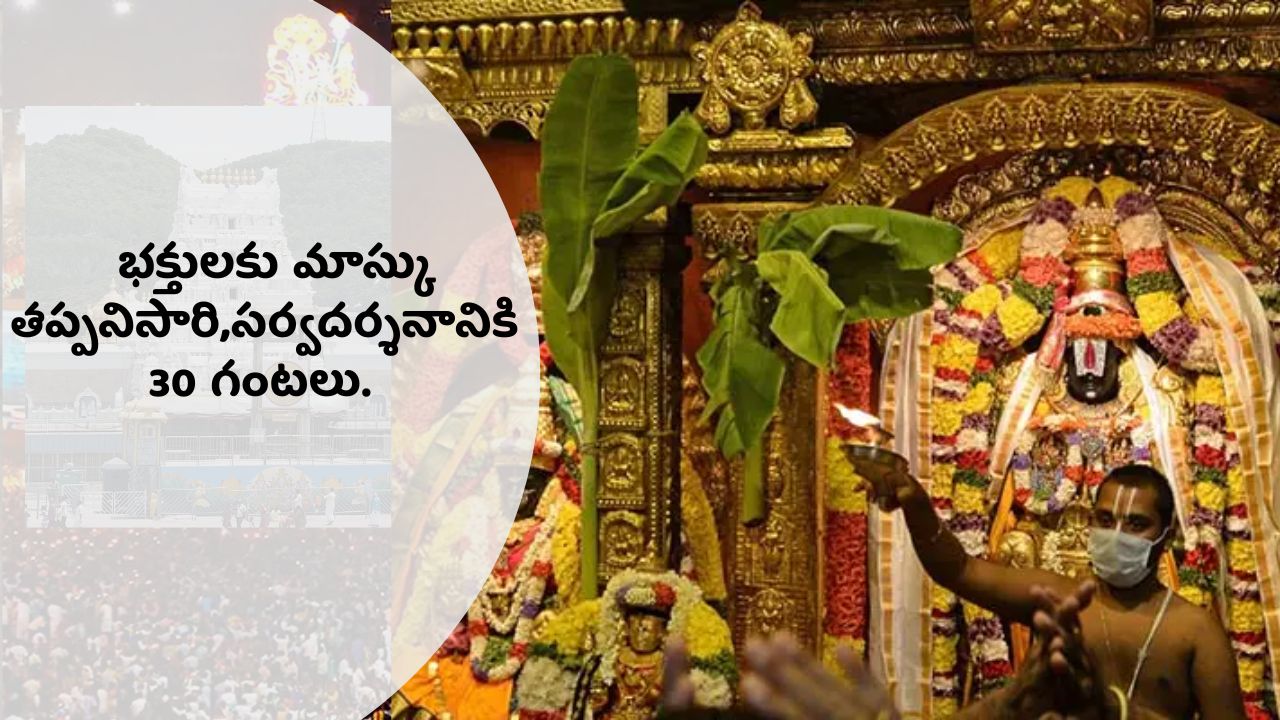 తిరుపతి : భక్తులకు మాస్కు తప్పనిసారి ... సర్వదర్శనానికి 30 గంటలు